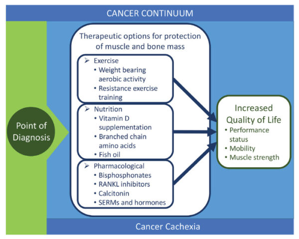fig-1-cancer-continuum - Lymphoedema Education Solutions