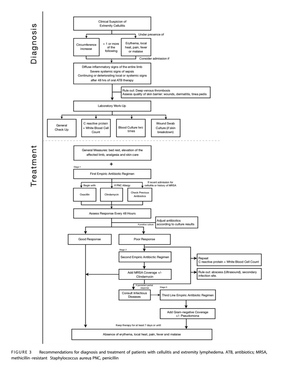 Clinical features, microbiological epidemiology and recommendations for ...