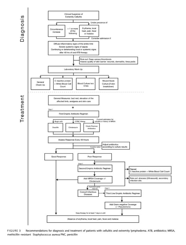 Clinical features, microbiological epidemiology and recommendations for ...
