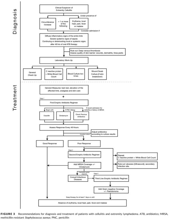 clinical-features-microbiological-epidemiology-and-recommendations-for ...