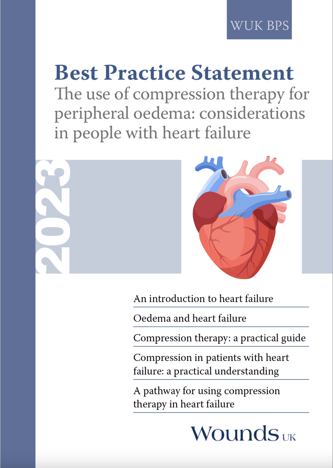 Best Practice Statement: The use of compression therapy for peripheral ...